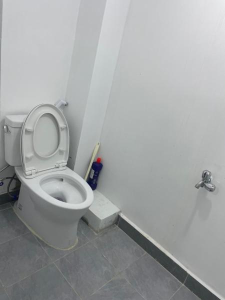 野猴子青旅Wild Monkey Hostel - Phnom Penh