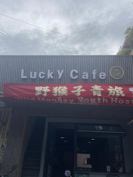 野猴子青旅Wild Monkey Hostel - Phnom Penh