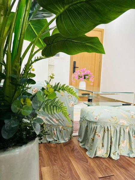 Melodymymy Da Nang - 