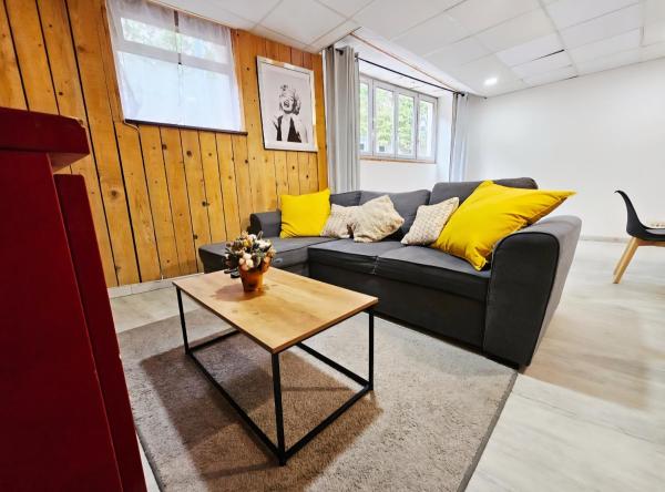 Le Carnot, Appartement Au Centre De Roanne - ibis Styles Roanne Centre Gare