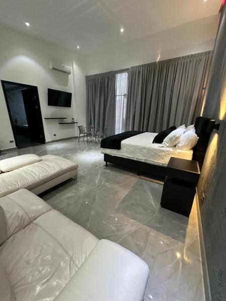 Penthouse 333 - San José