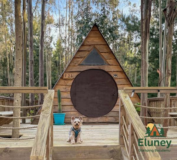 Glamping Eluney Bucalemu - Región de Maule, Chile