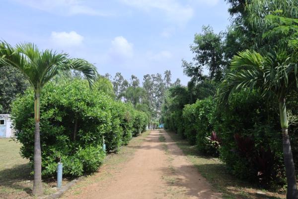 Hampi Blue Moon Resort - Hospet