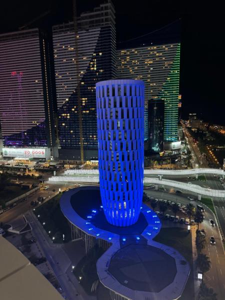 Alliance Palace Marriott - Batumi