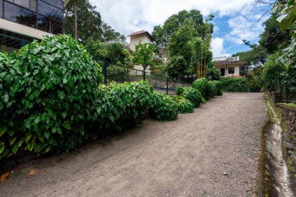 Hotel Treetop - Thekkady