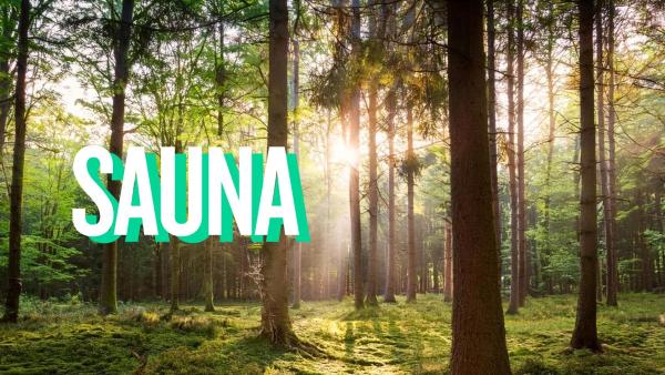 Veluwe Retreats Putten - Chalets With Huge Gardens And Private Saunas On Park With Swimming Pool, Cafeteria And More Facilities - Ermelo