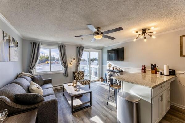 Snowshoe Ski In Ski Out Renovated 2br - スノーシュー, WV
