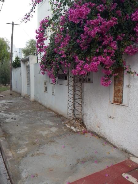 Appartement - Tunis