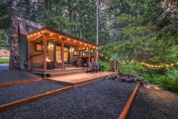 L'il Finch At Mount Rainier - 阿什福德