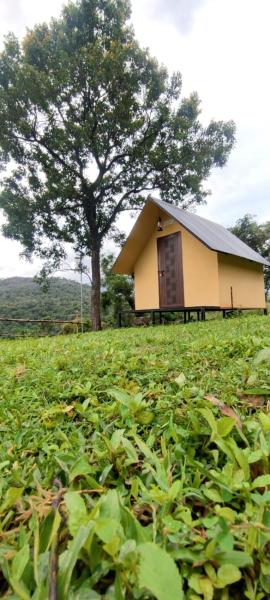 Mount Camp - Marayoor