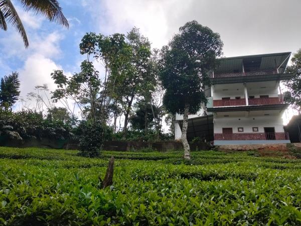Monte Sereno Munnar - Idukki