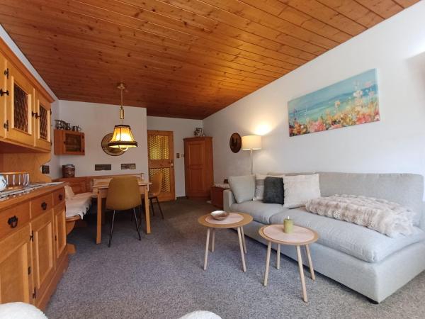 Apartment Metzger - Steinbock Lodges - Zell am See