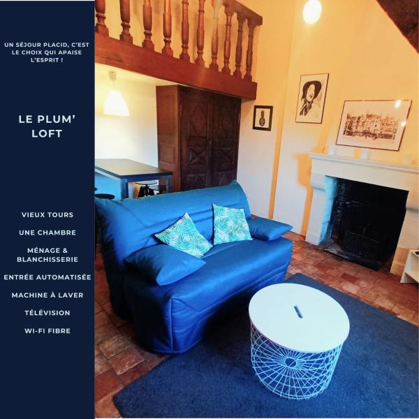 Le Plum'loft, T2 Spacieux Au Cœur Du Vieux Tours, Wifi, Tv - Tours