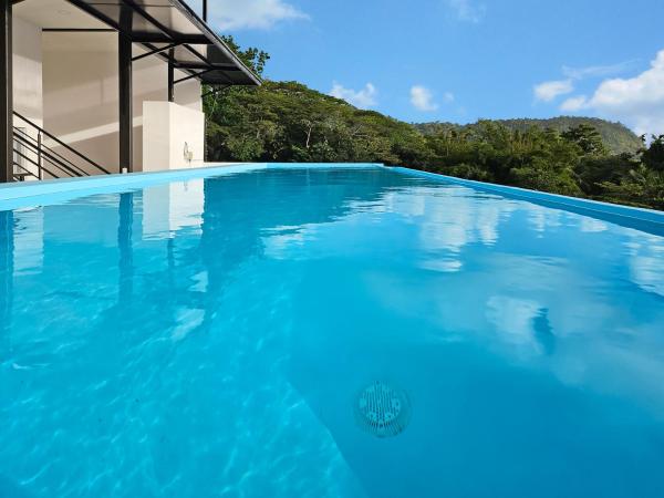 Zen Apartments With Rooftop Infinity Pool And Walk Away From The Beach - Jaco