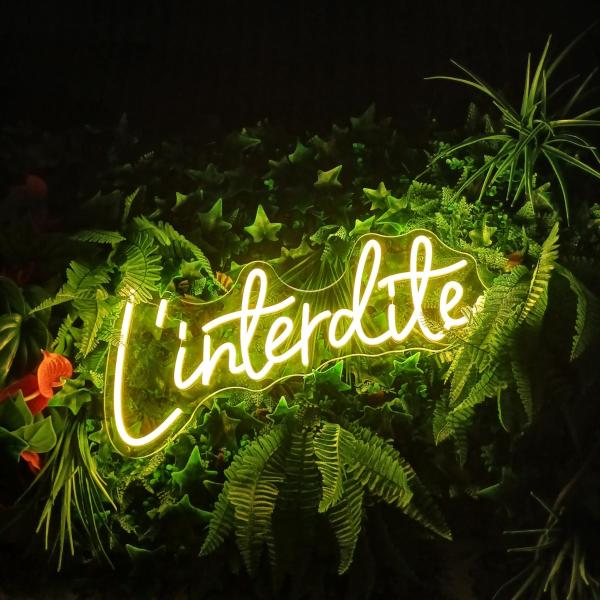 La Love Interdite Chez Loveroomtoulon, Parking Et Wifi Gratuits - Toulon