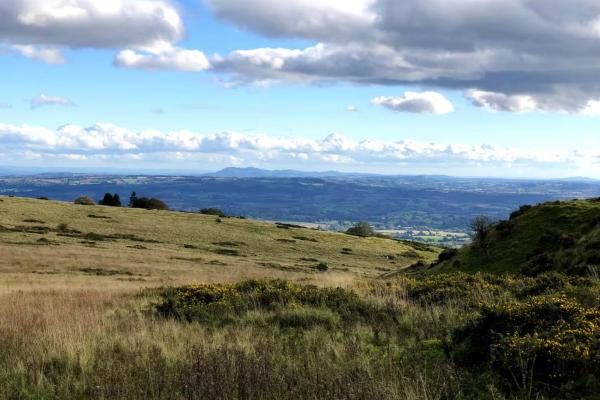 Central 1-bed - Sleeps 2 - Pet Friendly W Garden - Shropshire