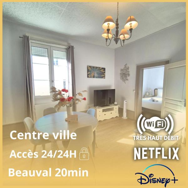 T2 Ctre Ville Fibre Proche Beauval - Chenonceaux