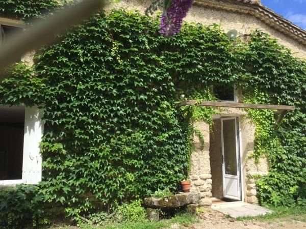 Damechouette - Gironde