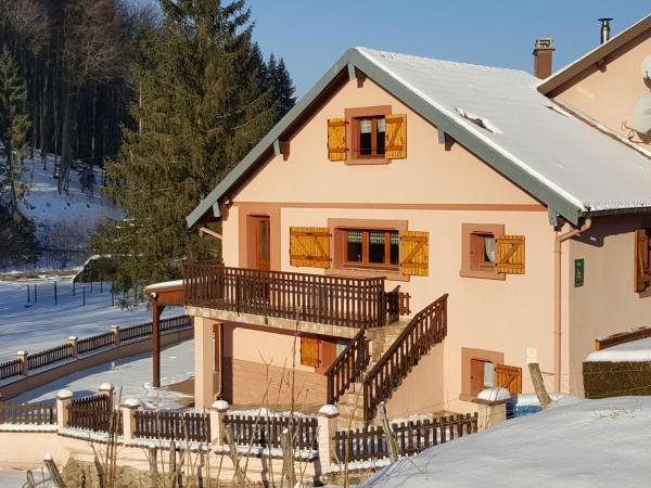 Gîte Familial Avec Piscine, Idéal Pour Randonnées Et Pêche, Proche Gérardmer Et Crêtes Vosgiennes - Fr-1-589-238 - Corcieux