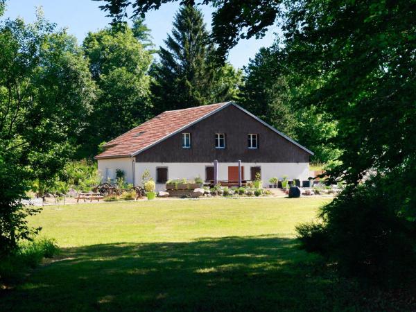Ferme Vosgienne Rénovée Avec Spa, Sauna, Jacuzzi, Billard Et éTang Privé En Pleine Nature - Fr-1-589-327 - Vosges