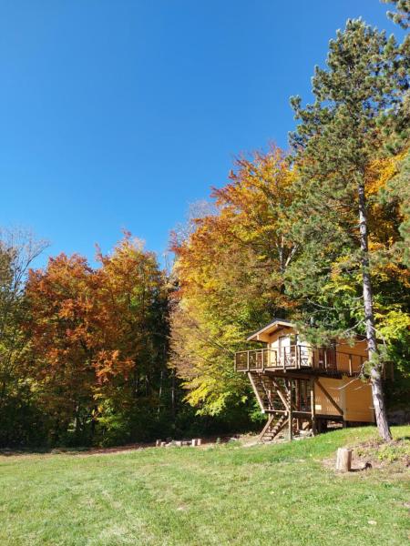 Treetop Tiny House Pod Korunami - Slowakei