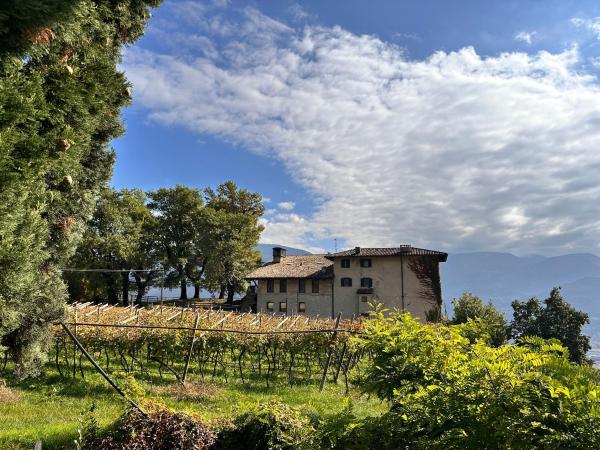 Maso Sasso - La Locanda Di Putipù - Brentonico