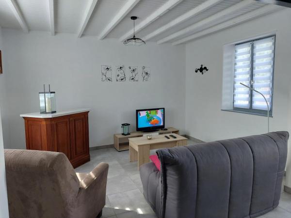 Les Jonquilles - Baie de Somme