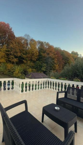 Pensiunea Ionela - Moieciu