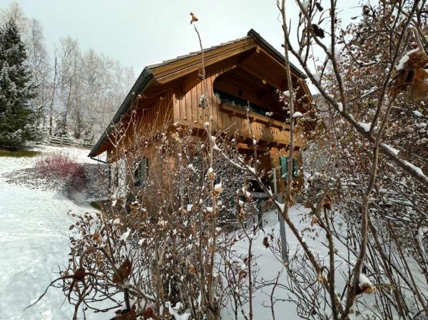 Wapiti Chalet - Katschberg - Austria