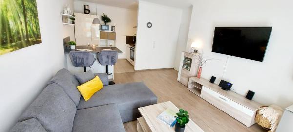 Wanderfalke - Goslar