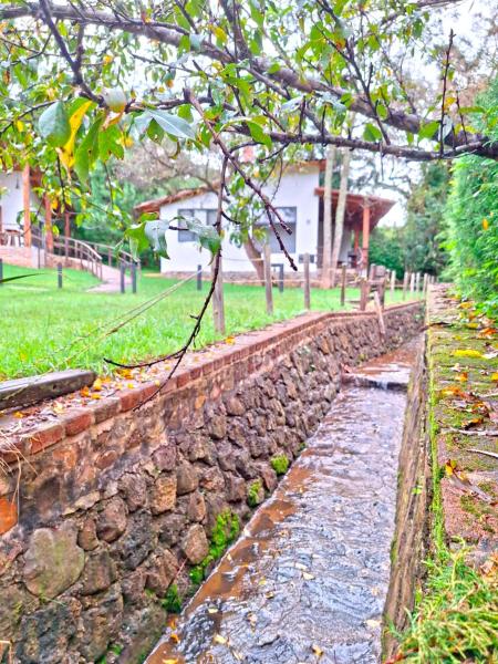 Nostra Natura Chalets - Michoacán