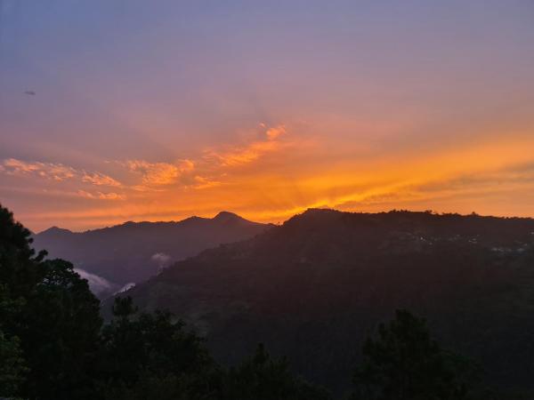 Cabañas La Peña Del Zopilote - Zacatlán