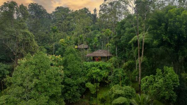 The Woods Resorts Wayanad - Kerala