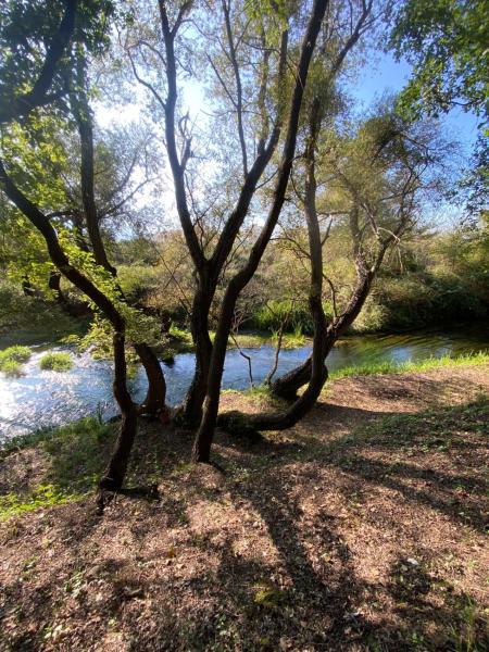 Vila Blue River - Orikum