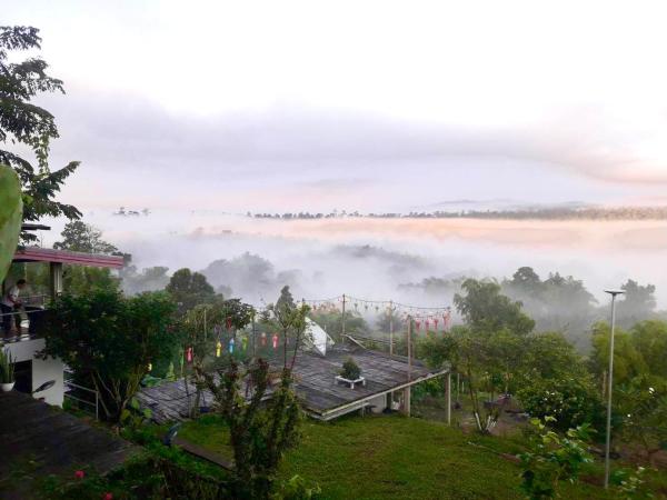 บ้านไร่เสือโคร่ง - Chiang Mai