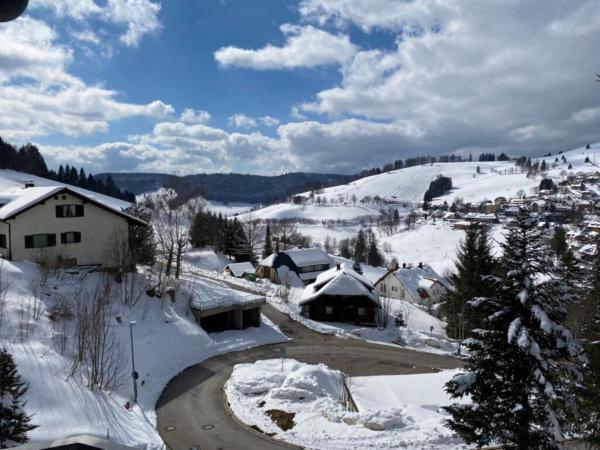 Fewo Herzgrün - Zu Fuß Zu Lift & Loipe Traumhafte Aussicht Mit Sauna Im Haus Tiefgarage E-ladestation - Bade-Wurtemberg