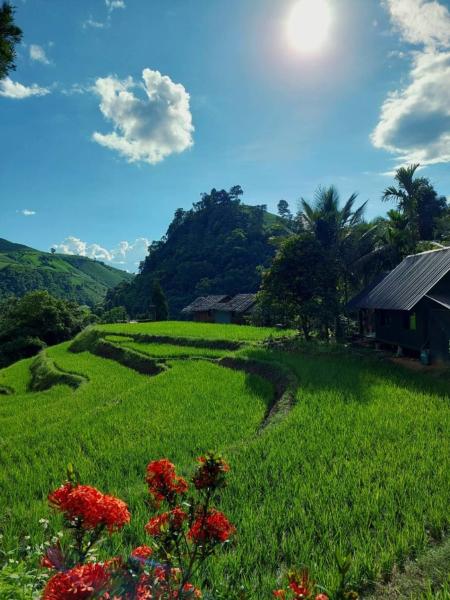 Kowitfarmstay - Mae Hong Son