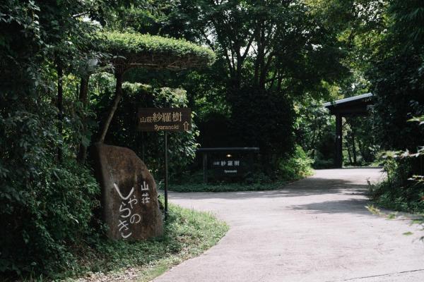 山荘 紗羅樹 Syaranoki - Yufuin