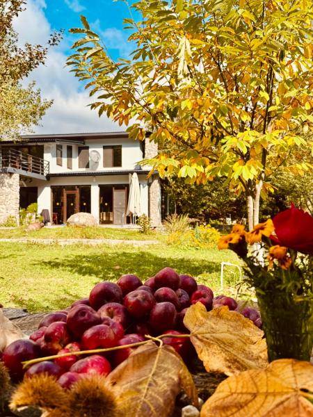 Istisu Valley Spa - Azerbaijan