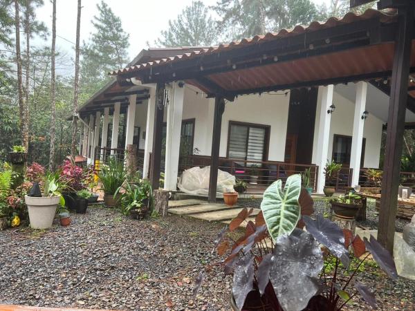 La Casa Del Rio - Panama