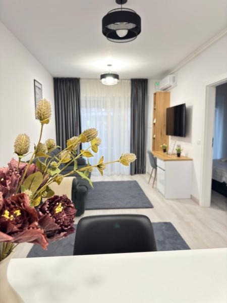 Deluxe Adora Park Cozy Apartments Arad - Arad