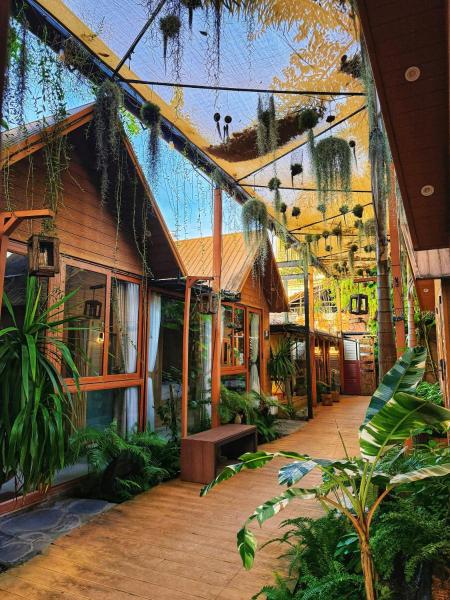Nhà Của An Homestay, Coffee & Spa Long Xuyên - Long Xuyên