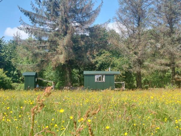 Shepherd's Hut Harmony At A Therapeutic Space - Dumfries and Galloway
