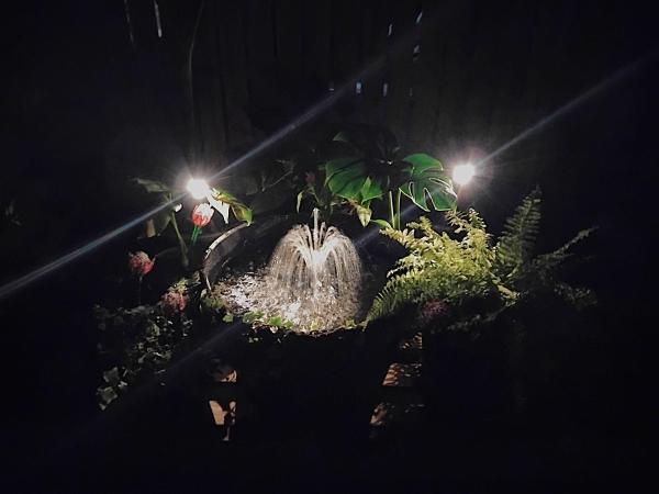 2 Bedroom Cottage With Private Garden - Maleny