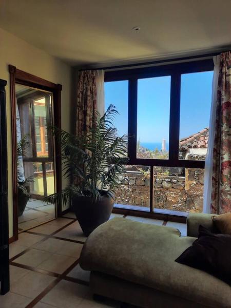 RaÃz Drago - Icod de los Vinos