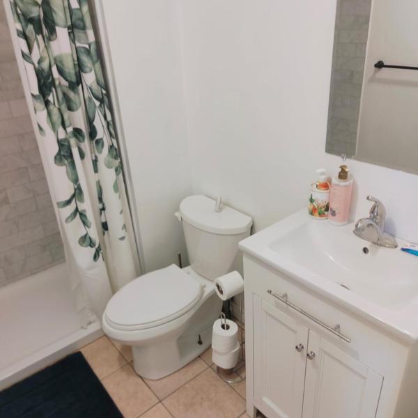 Toronto Blue Jays- World Cup Stay - Toronto