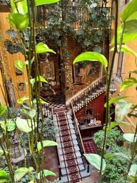 Europe Hôtel - Castres