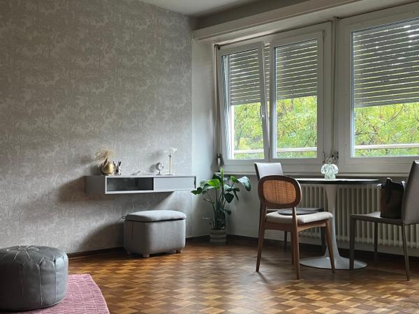 Champel Cozy Studio - Geneva