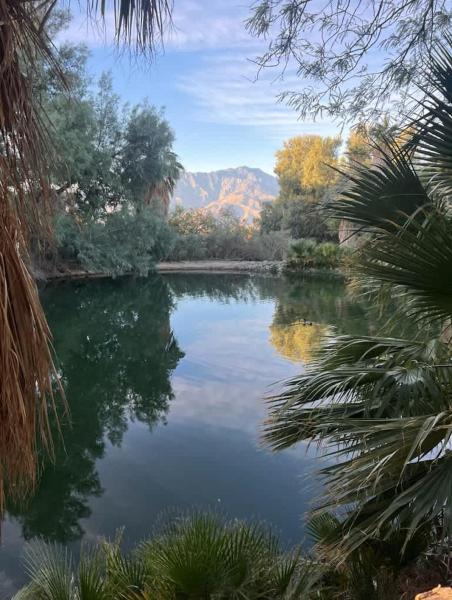 Reserve The Entire Ranch Up To 28 Guests - Desert Hot Springs, CA