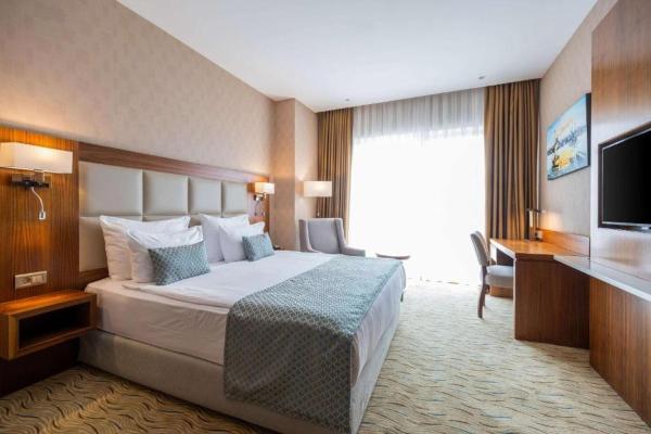 Clarion Hotel Istanbul Mahmutbey - İstanbul